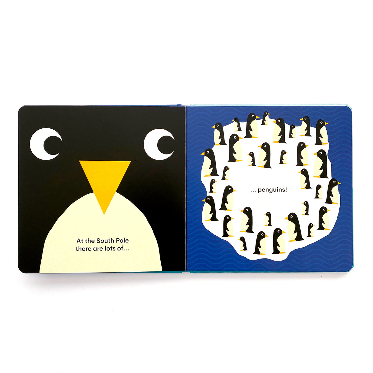 Eco Baby Ice Caps book for babies and toddlers by Lorna Freytag – Lorna ...