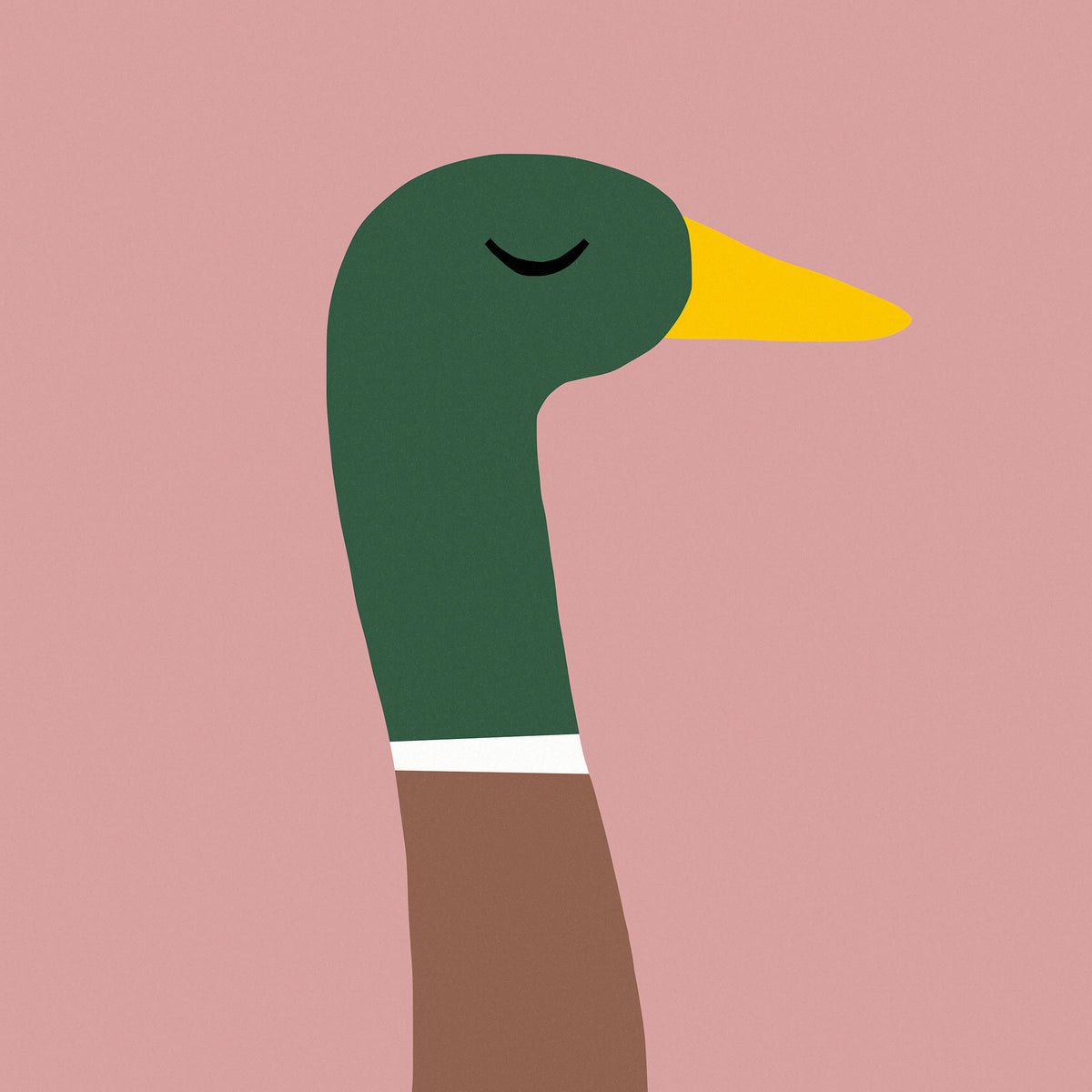 Quack - Duck animal print by Lorna Freytag – Lorna Freytag Illustration